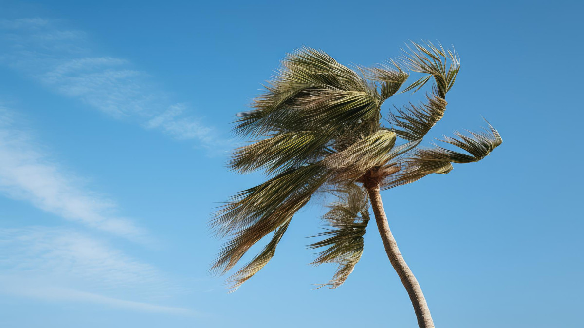 Météo Corse : vent, éclaircies et averses cette semaine