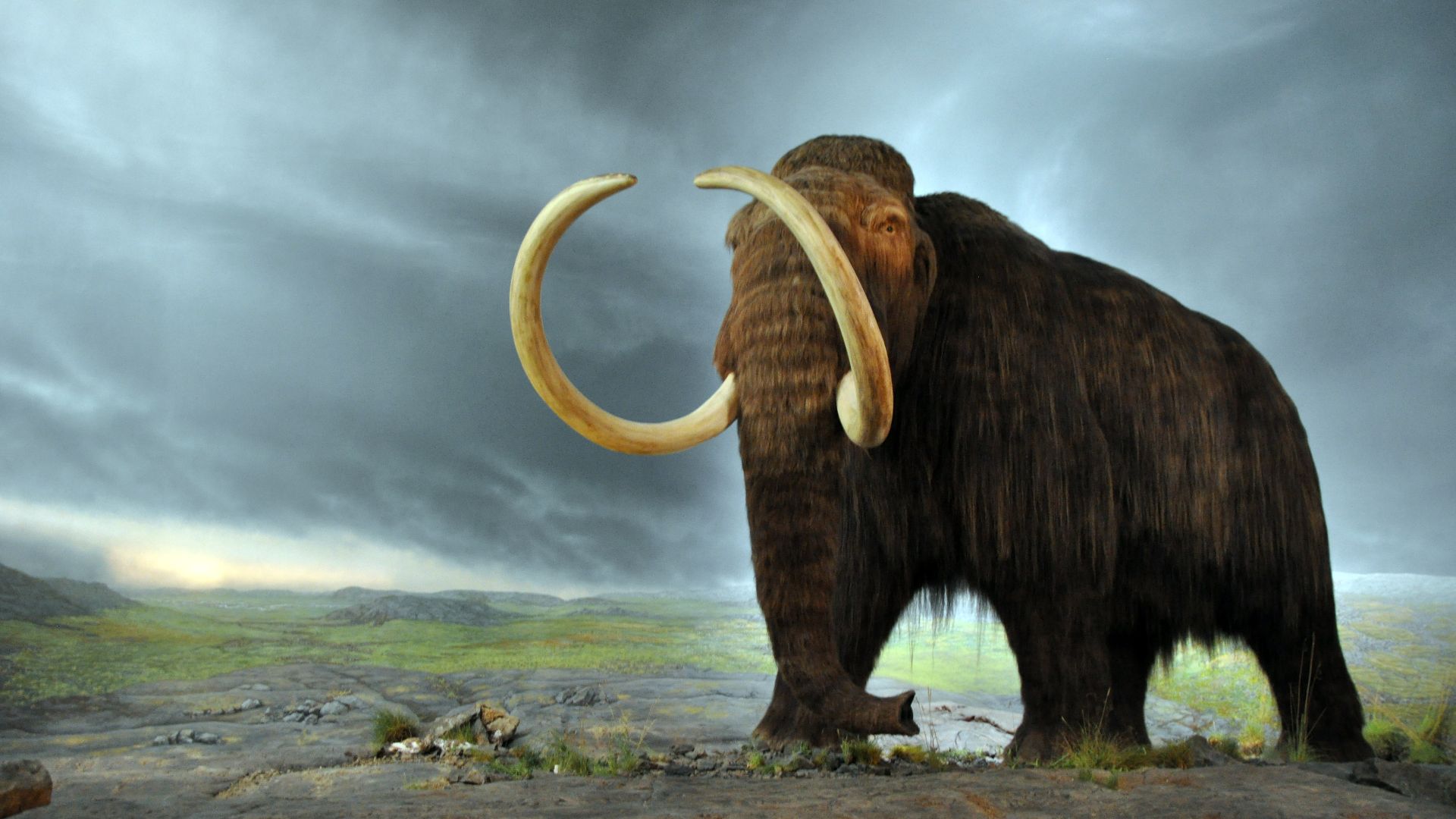 Scientists discover old boxes of bones that may explain the ...