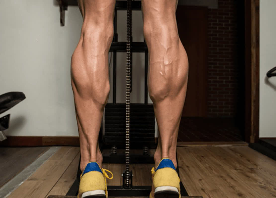 스쿼트 아닙니다.. 얇아진 허벅지둘레 4cm 늘려준다는 최고의 하체 운동