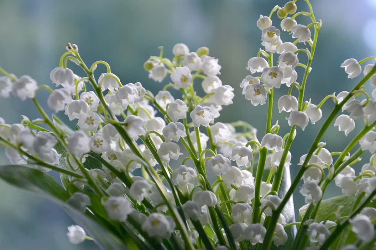 Que faire ce week-end dans le Var ? Les sorties du 1er au 3 mai à ne ...