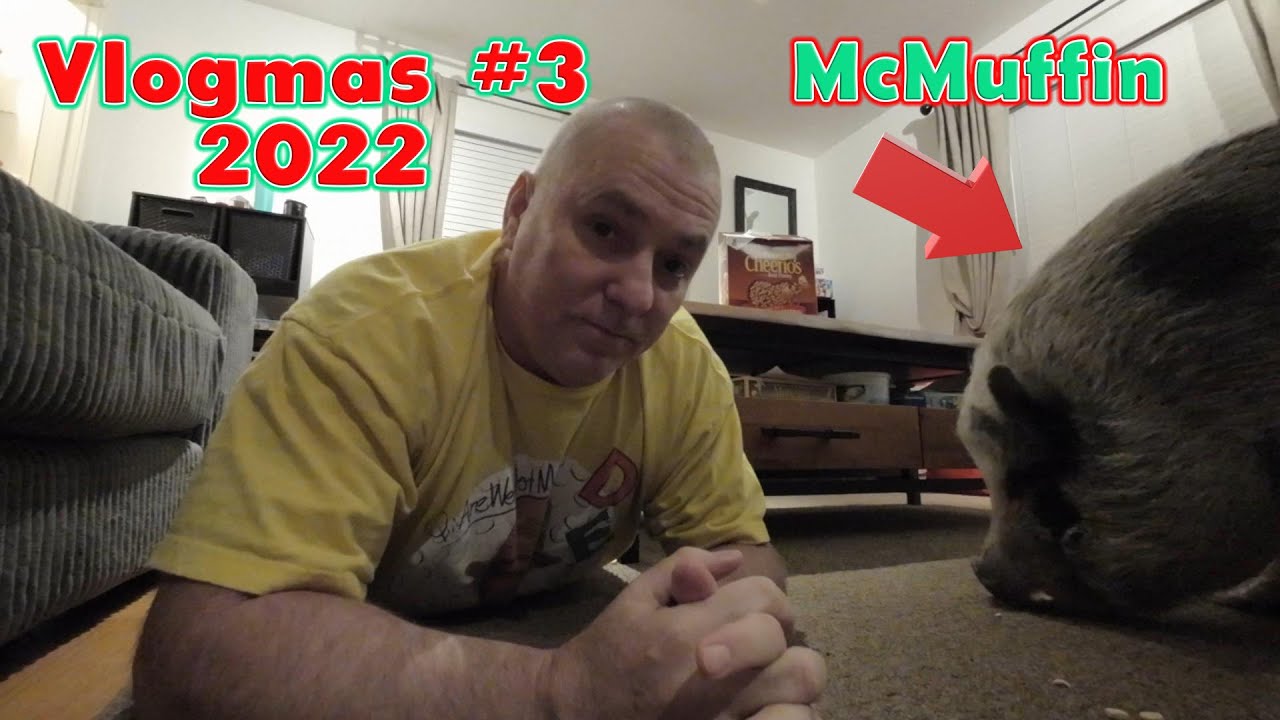 Vlogmas #3 McMuffin love her Cheerios.