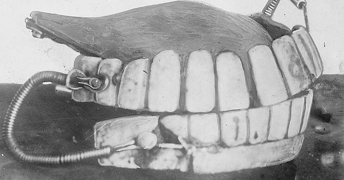 15 shocking facts you won’t find in history books