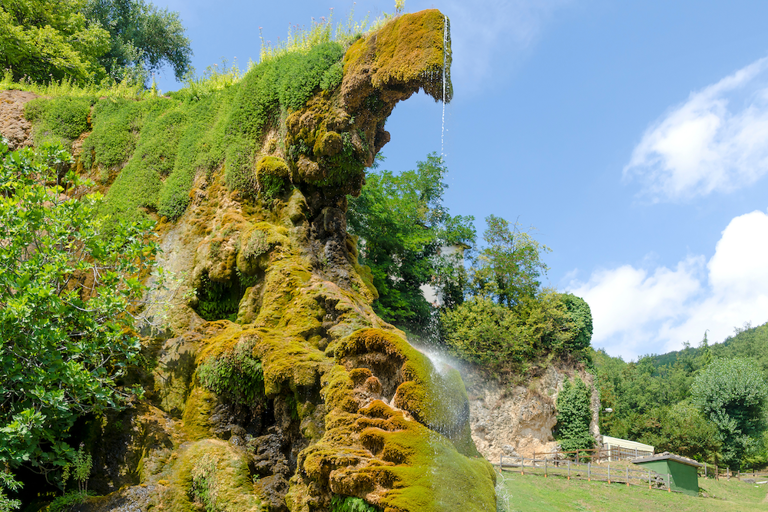 Una cascata, un laghetto verde e una roccia strana che cresce al ...