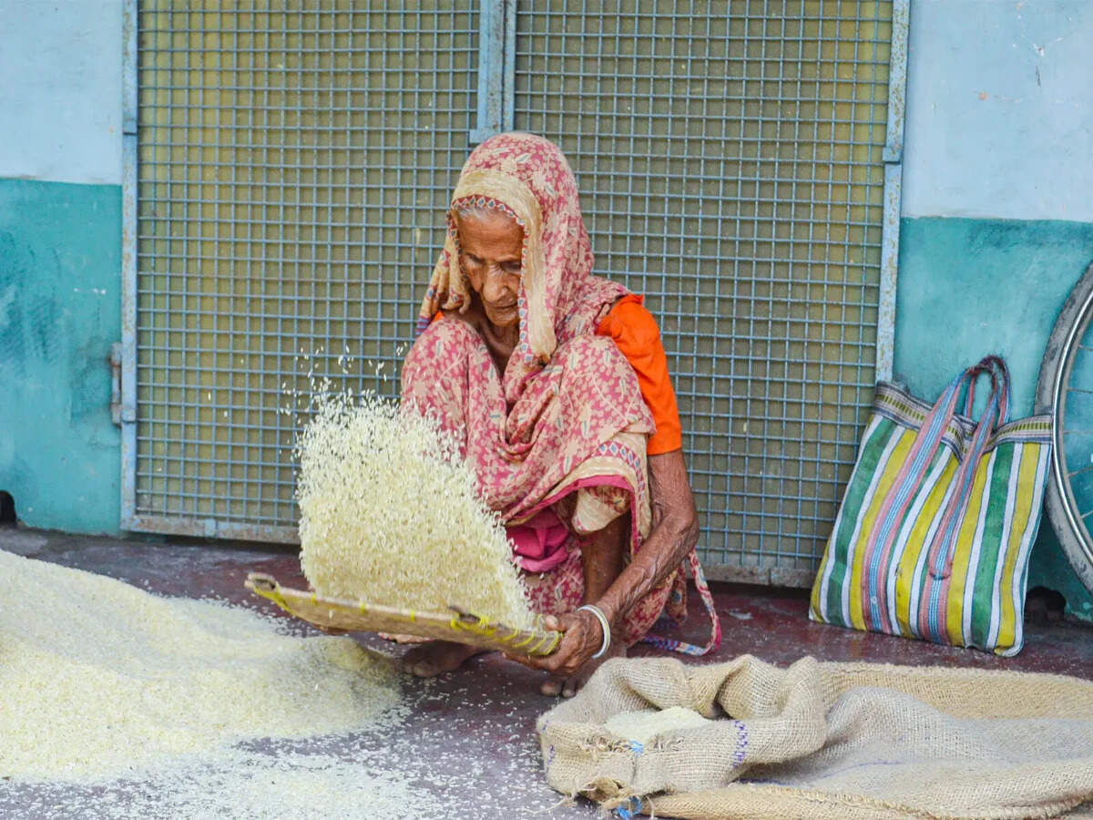 Pilibhit in UP to get India's first integrated basmati, organic ...