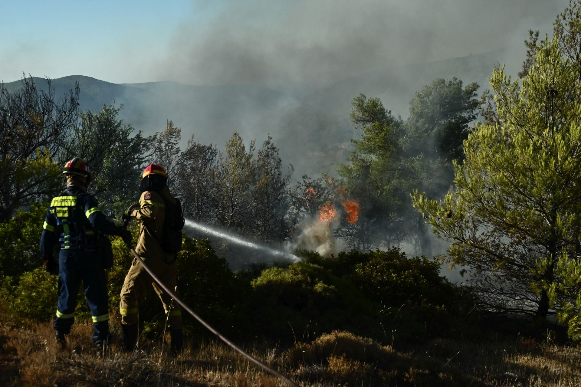 Αντιπυρική περίοδος από 1η Μαΐου – Αυστηρές απαγορεύσεις και συστάσεις ...