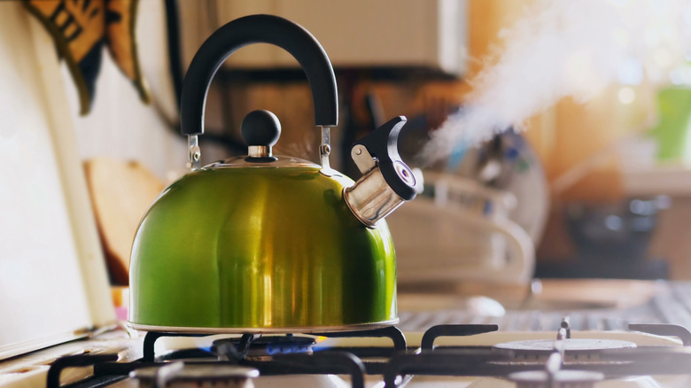 20 best teapots and kettles to brew the perfect cup