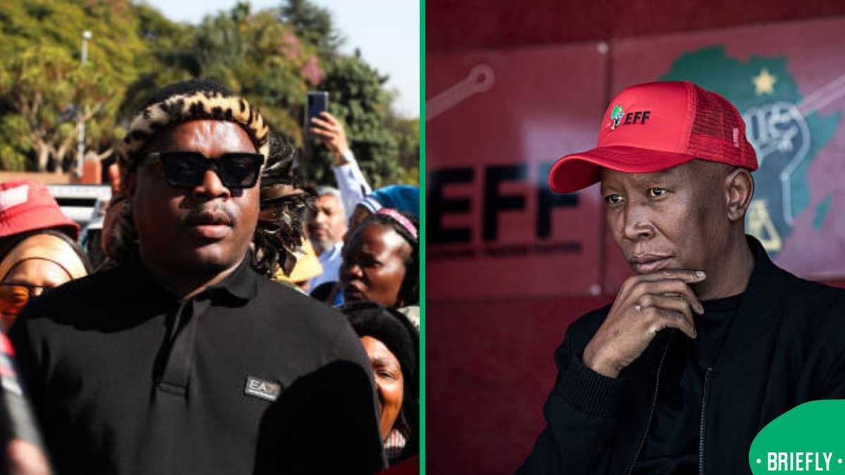 Malema takes legal action against Ngizwe Mchunu over R60m drug claim ...