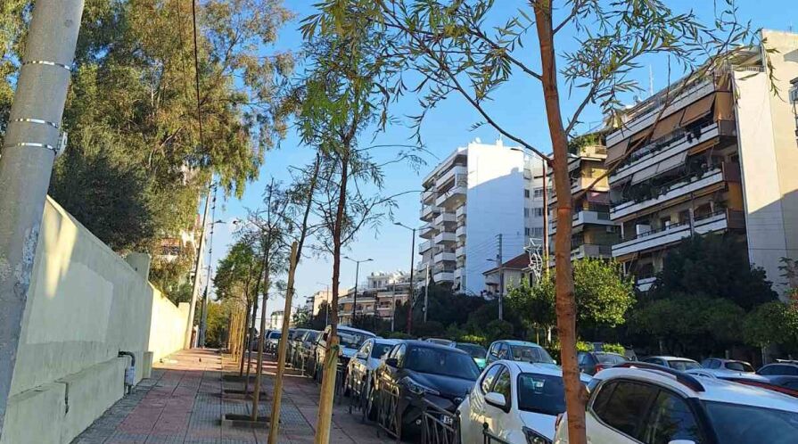 Φύτευση νέων δέντρων από τον Δήμο Νέας Σμύρνης