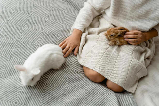 Why small pets need different care than you think