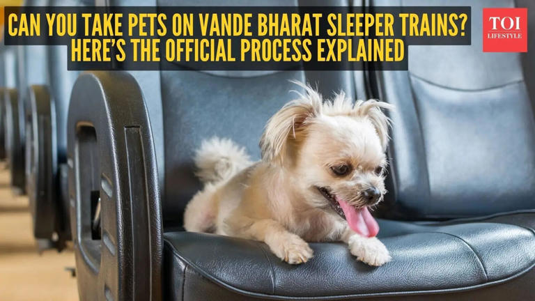 Can you take pets on Vande Bharat sleeper trains? Here’s the official ...