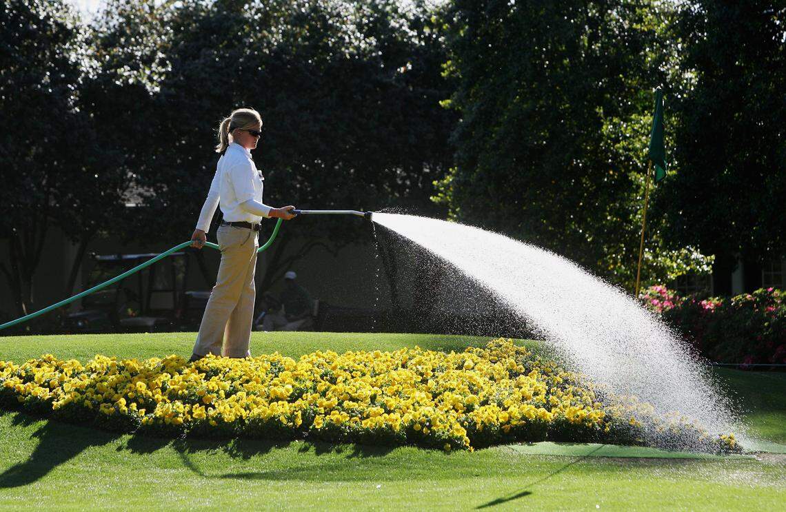 Beginner gardening mistakes that are quietly destroying your garden