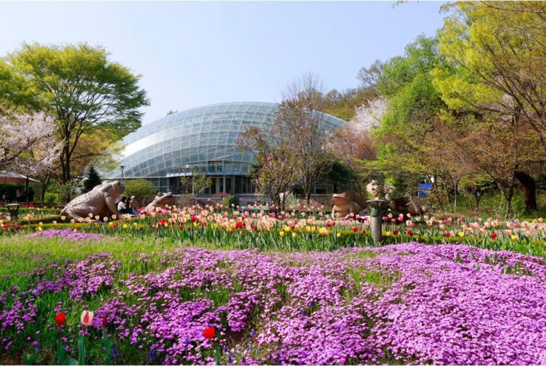 17만㎡ 규모 산림청 인정 수목원 5월 성남 가볼 만한 곳 추천