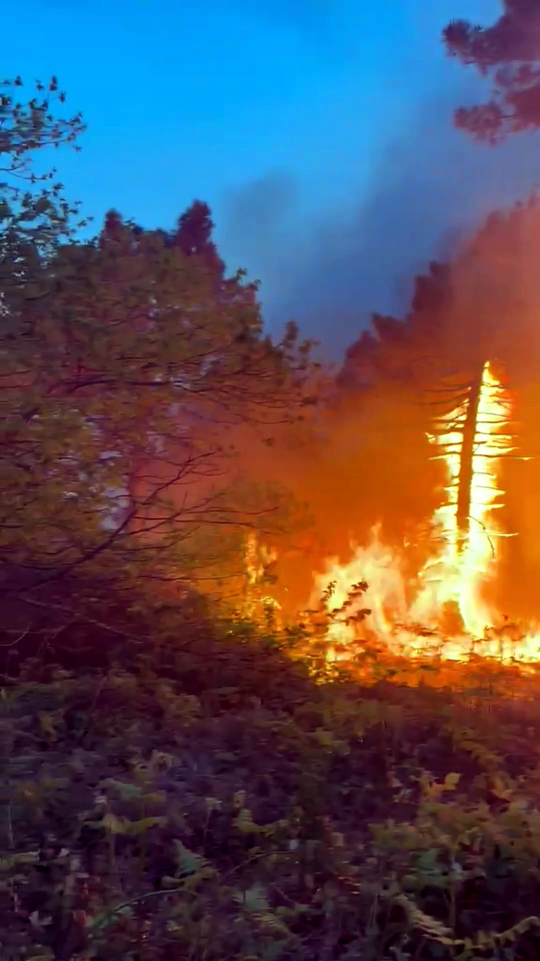 L'incendio sul monte Faeta