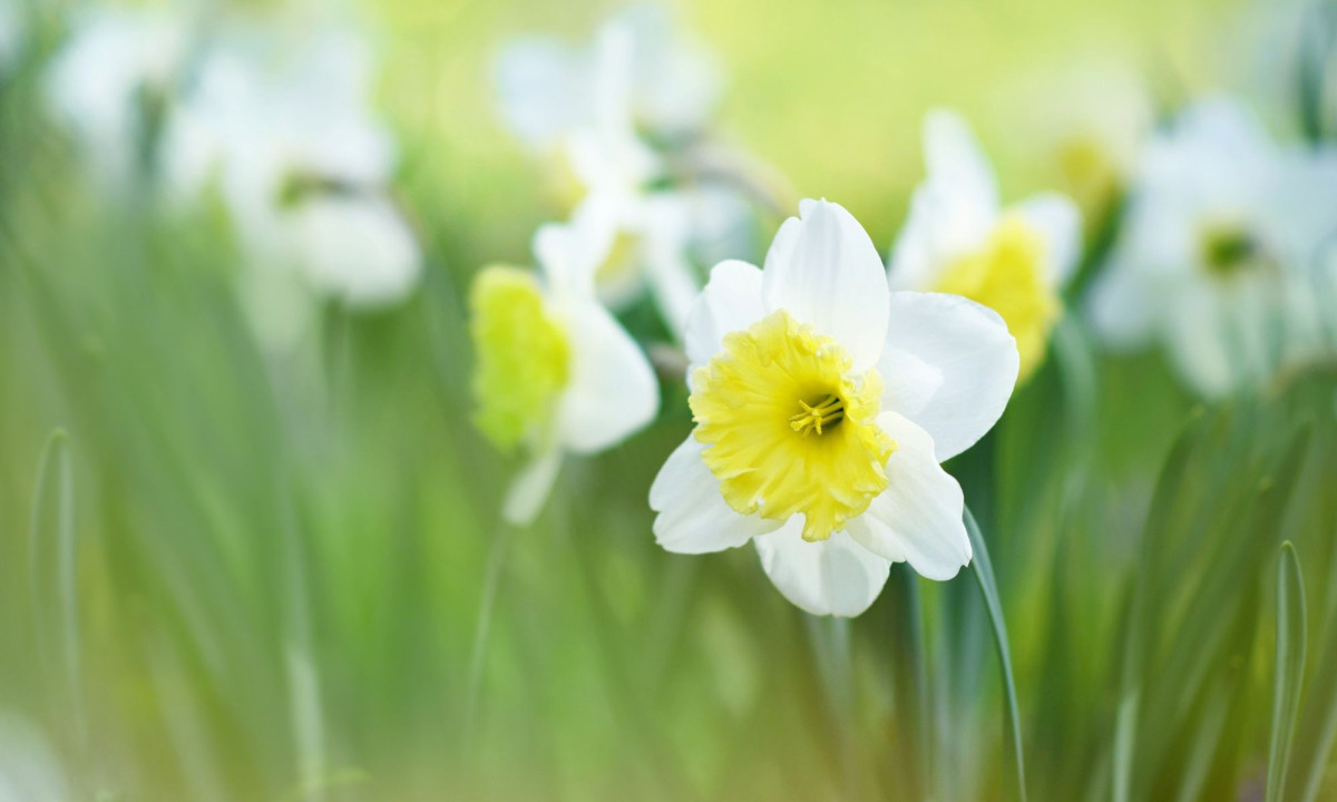 Μάιος 2026: Ποιοι πλανήτες επηρεάζουν τη ζωή σου;