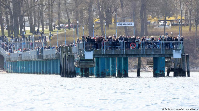 Die Deutschen und der Wal: "Timmy" wieder auf offener See