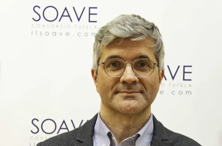 Rivoluzione Soave: Doc in pianura, Docg solo in collina. Così il ...