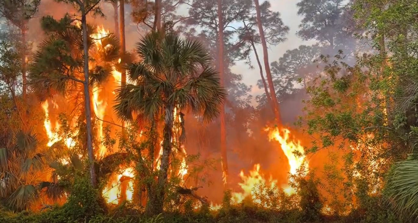 Brush fire near Foxwood Estates in Stuart under control, officials say