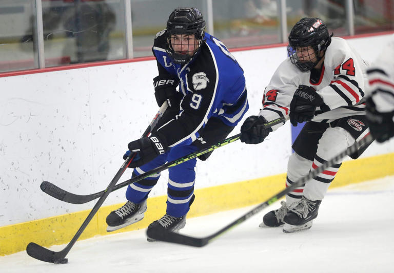 Wisconsin men's hockey flips in-state forward from Alaska Fairbanks