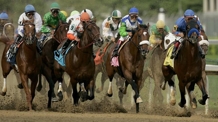 Barbaro won the Kentucky Derby 20 years ago. It was his final victory