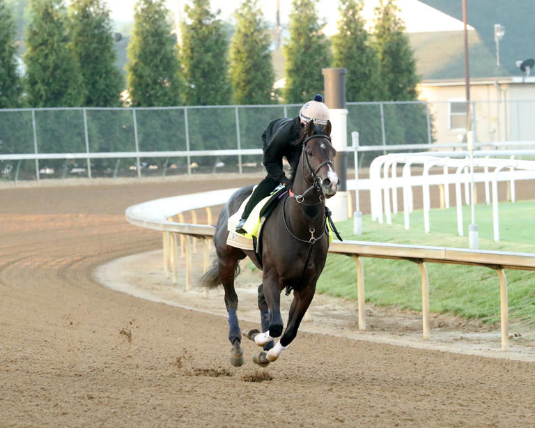Kentucky Derby 152: Current post positions and odds