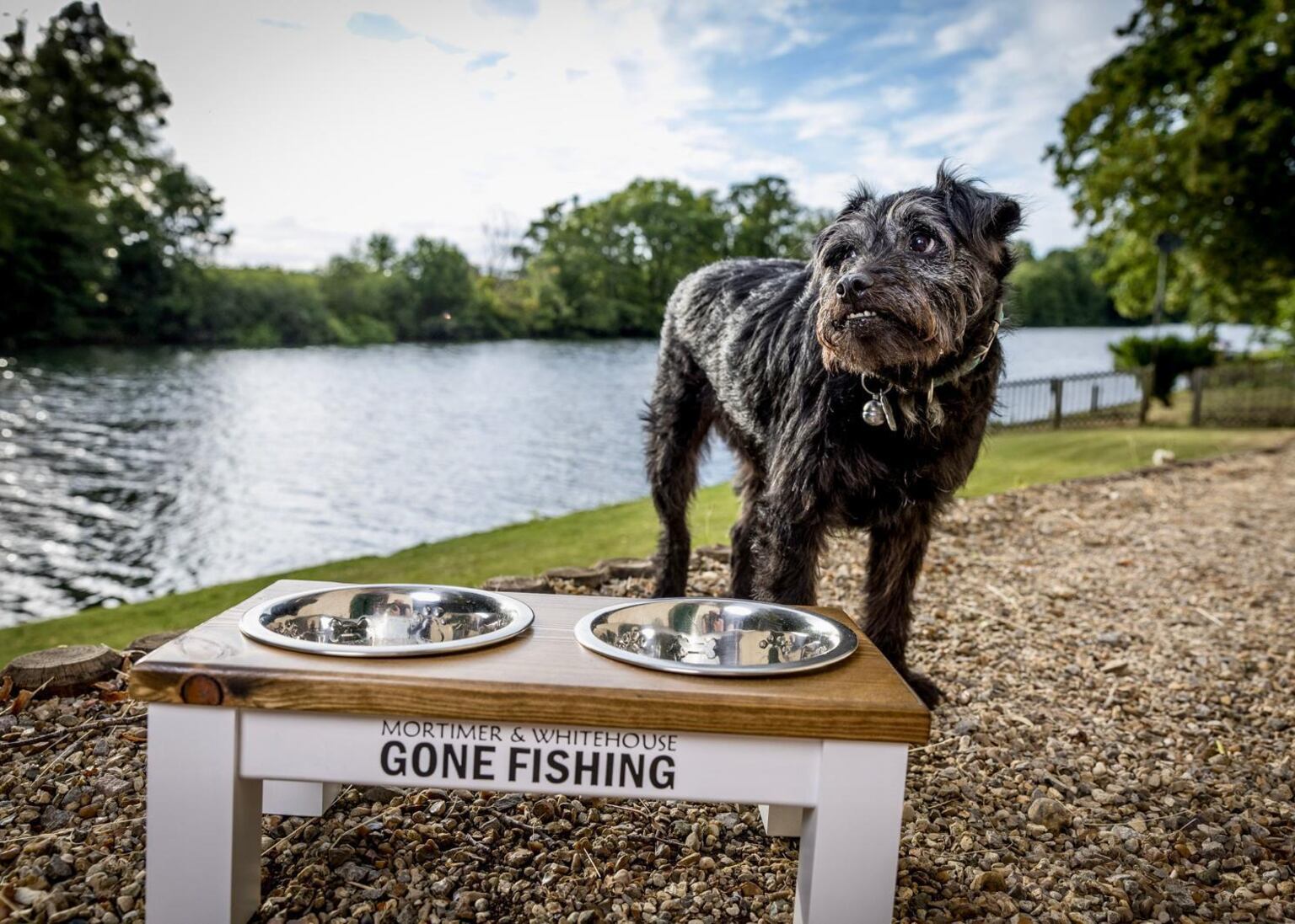 Bob Mortimer 'very, very sad' after death of Gone Fishing dog Ted