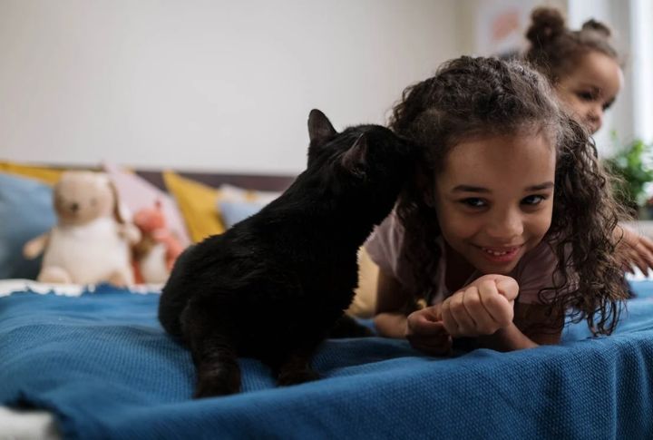 Cat behaviors that reveal how strong your bond really is