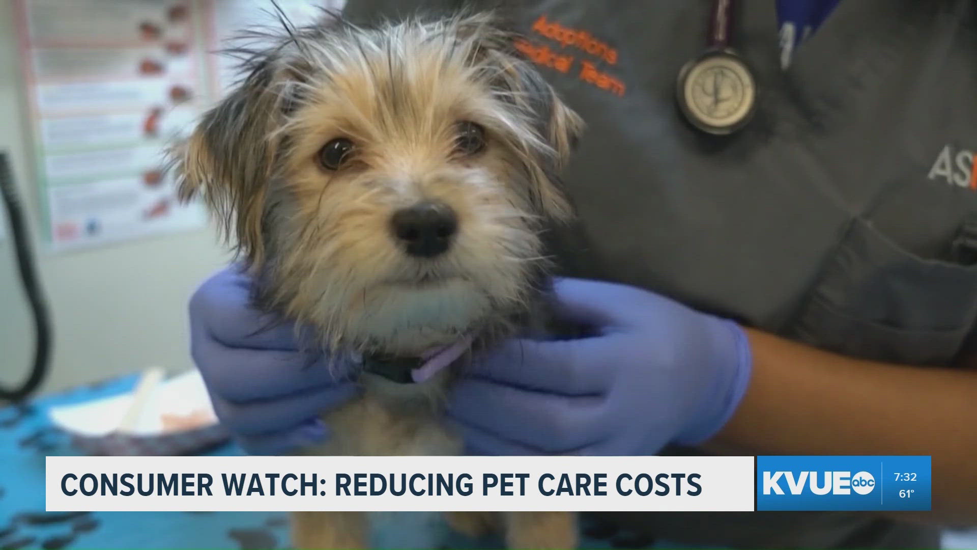 How to lower pet care costs