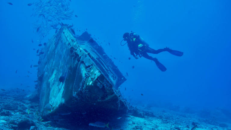 Robot probes France’s deepest shipwreck, finding cannons and ceramics