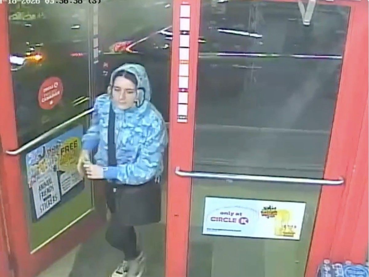 Windsor police seek suspect in violent vehicle theft