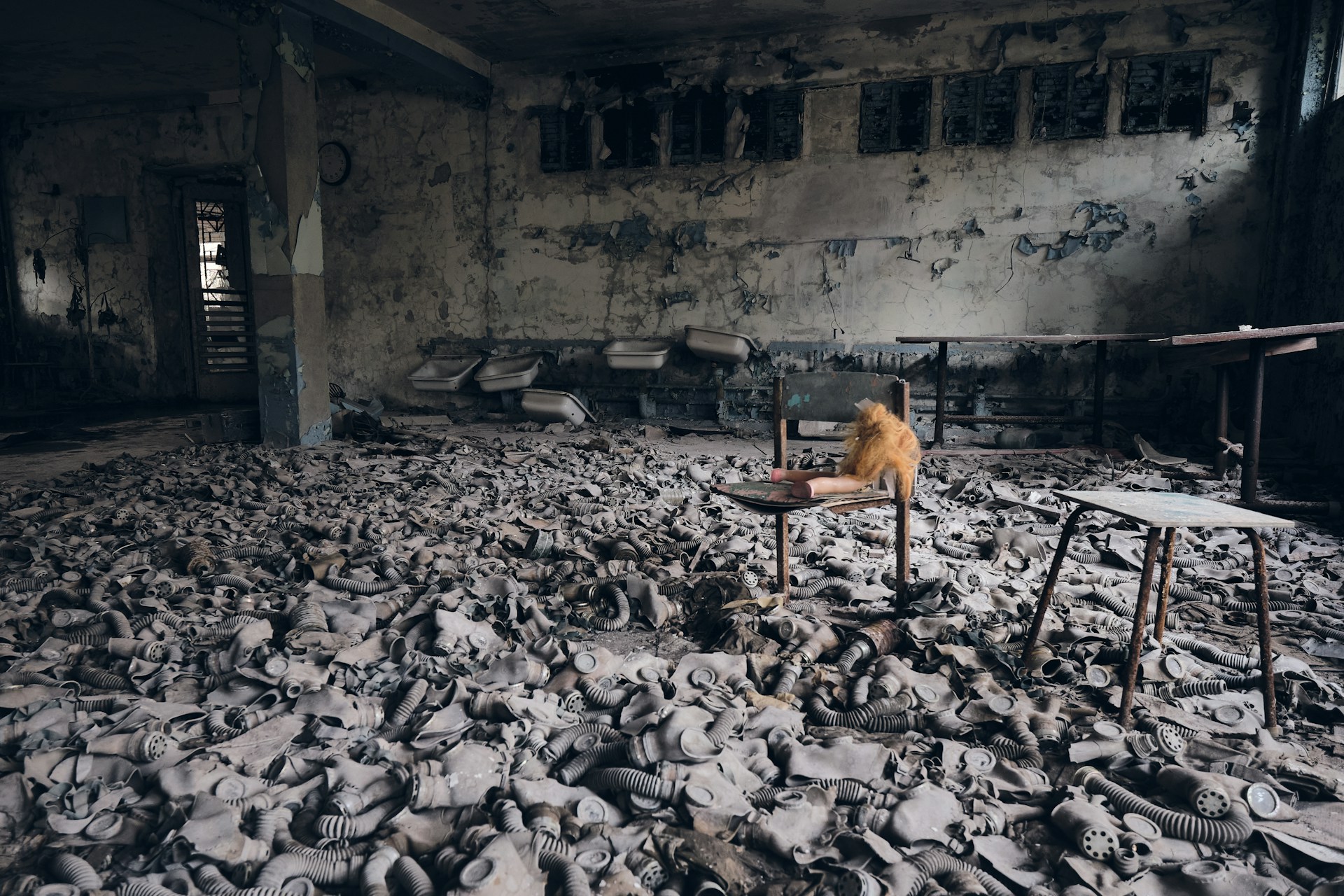 Chernobyl, o paraíso inesperado para estes incríveis animais