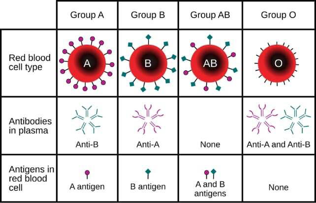 The world’s rarest blood type just got even stranger, only 3 people on ...
