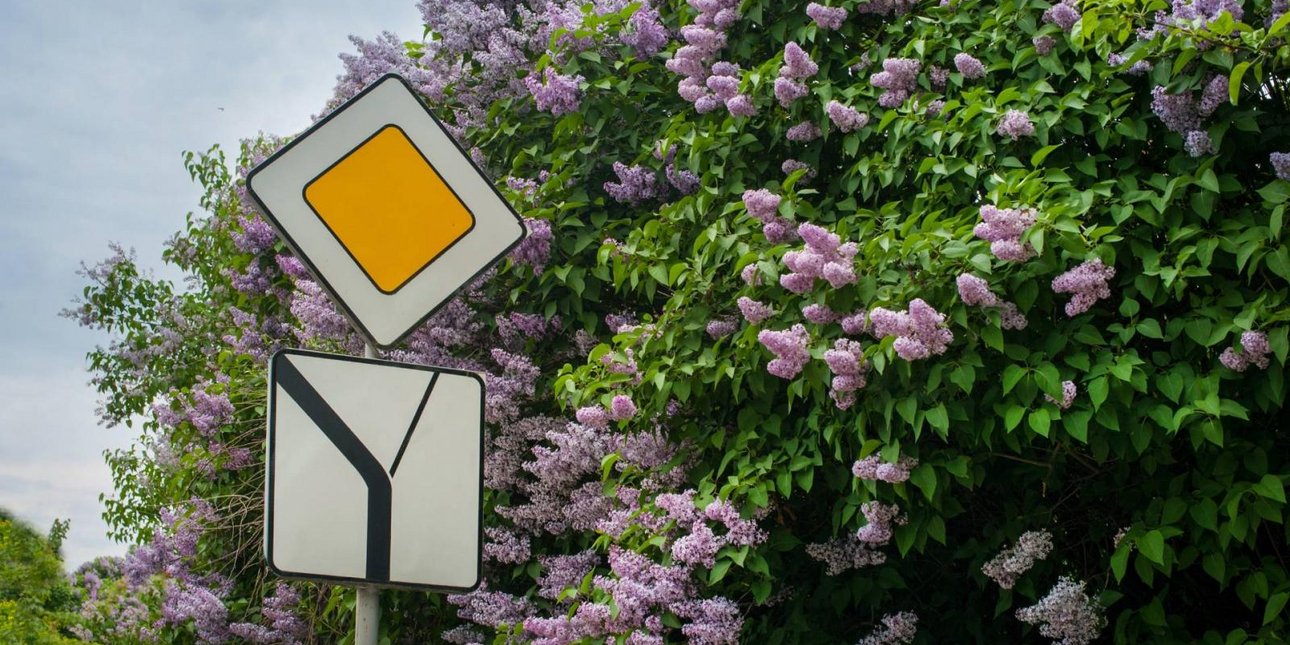 Το άγνωστο σήμα στους ελληνικούς δρόμους που δεν γνωρίζουν 9 στους 10 ...