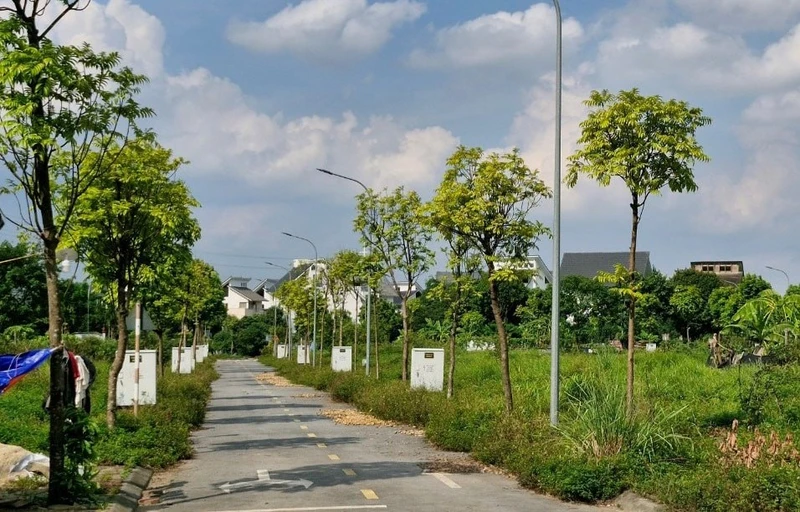 Hà Nội xem xét ban hành chính sách giải quyết dứt điểm vướng mắc về đất ...