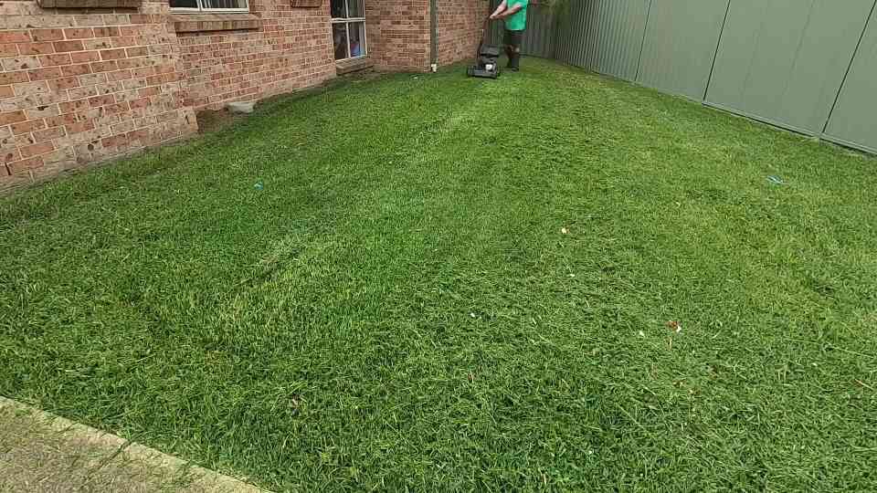 Why mowing long clover grass is so satisfying to watch