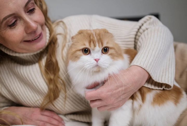 Cat behaviors that reveal how strong your bond really is