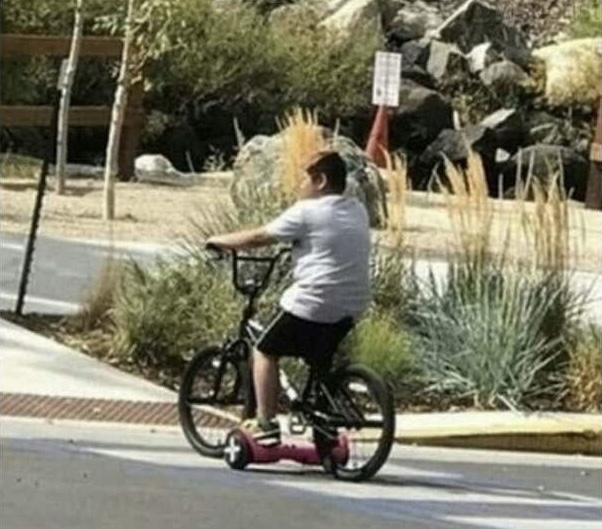 19 photos where common sense is slowly fading away