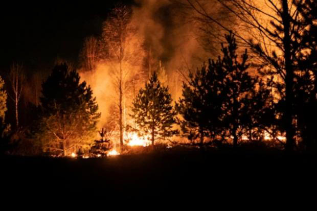 'Extreme' wildfire warning issued across all of Scotland this bank ...