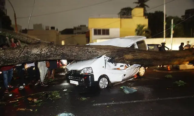 Bengaluru rain havoc: Over 170 trees uprooted, traffic chaos and power ...