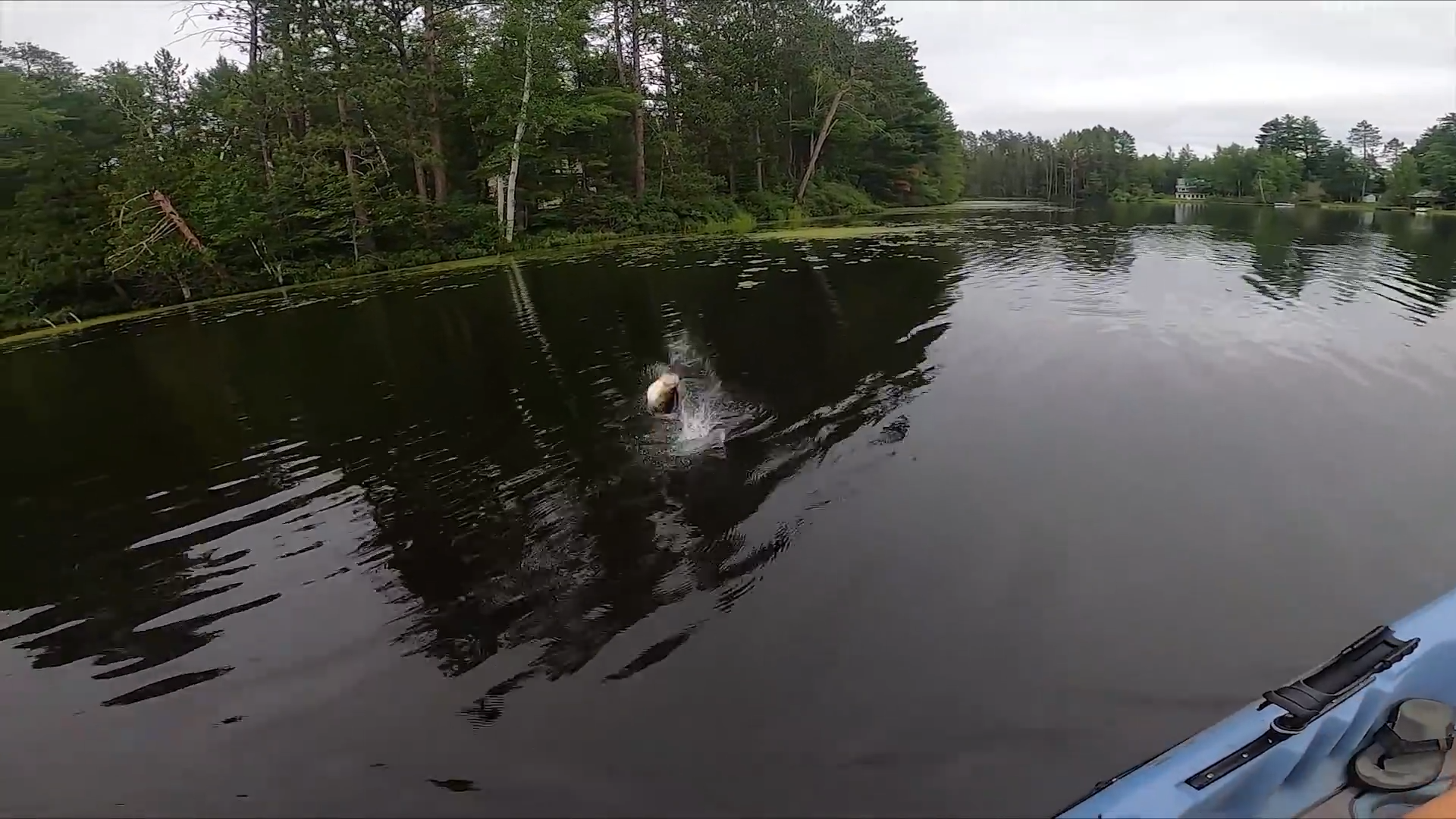 How one cast turned into an explosion out of nowhere — watch what happens