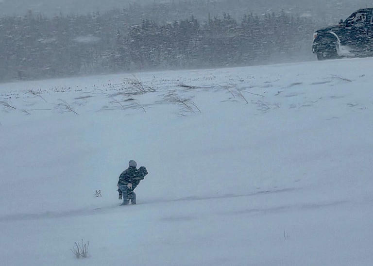 Alberta reviewing response to Highway 63 storm that stranded hundreds ...