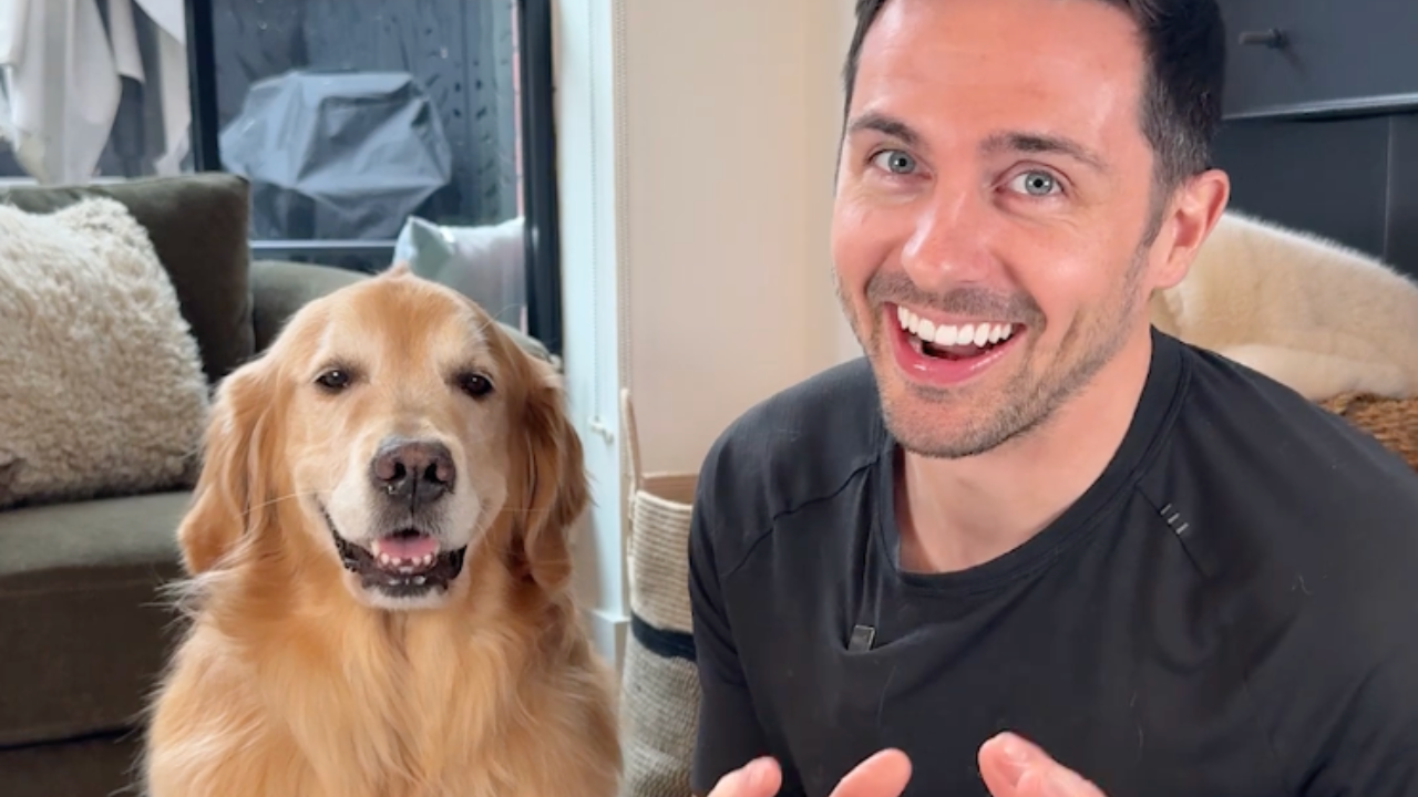 Do dogs actually smile?
