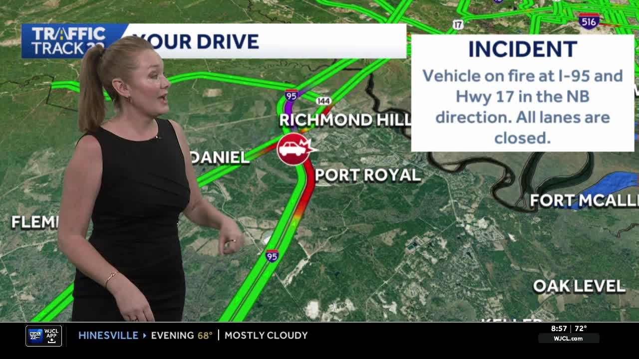 Vehicle fire shuts down I-95N in Bryan County