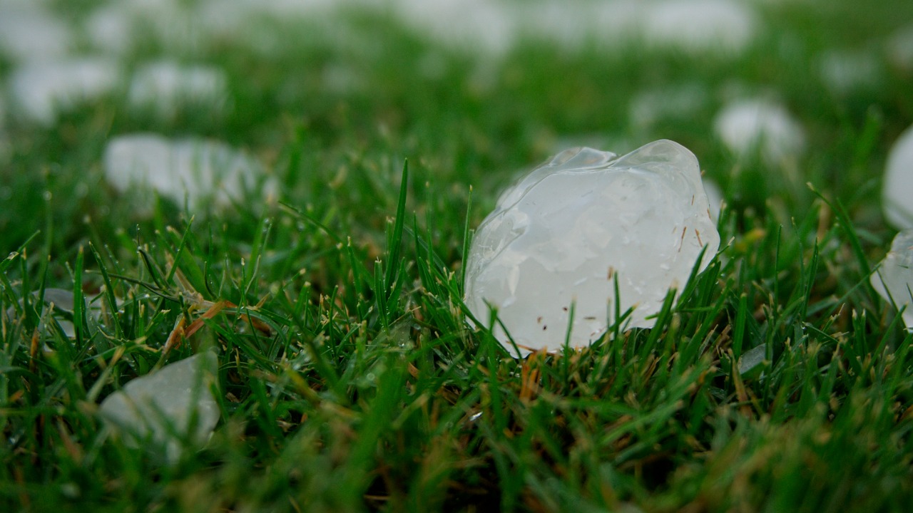 Softball-size hail in Missouri kills zoo animal and shatters car windows
