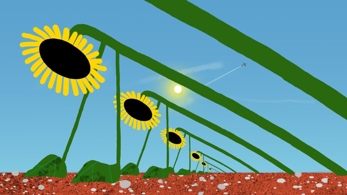 Σειρά κινηματογραφικών προβολών και δράσεων για παιδιά και νέους στο ...