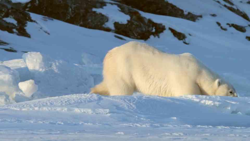 A 6°C drop changed the planet – and it could happen again