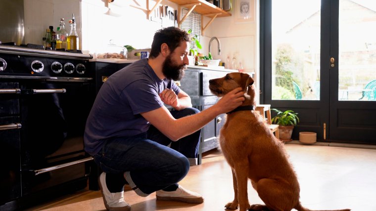 From nutmeg to houseplants: Unexpected things that are harmful for your dog