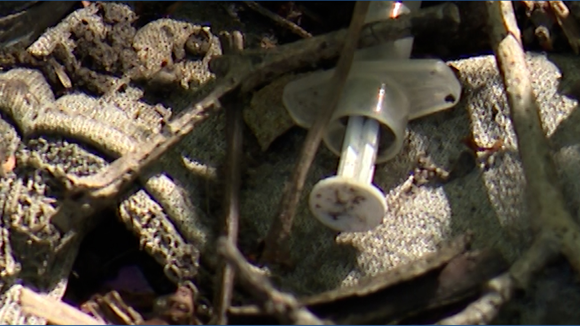 Wetland inundated with illegal dumping in south King County