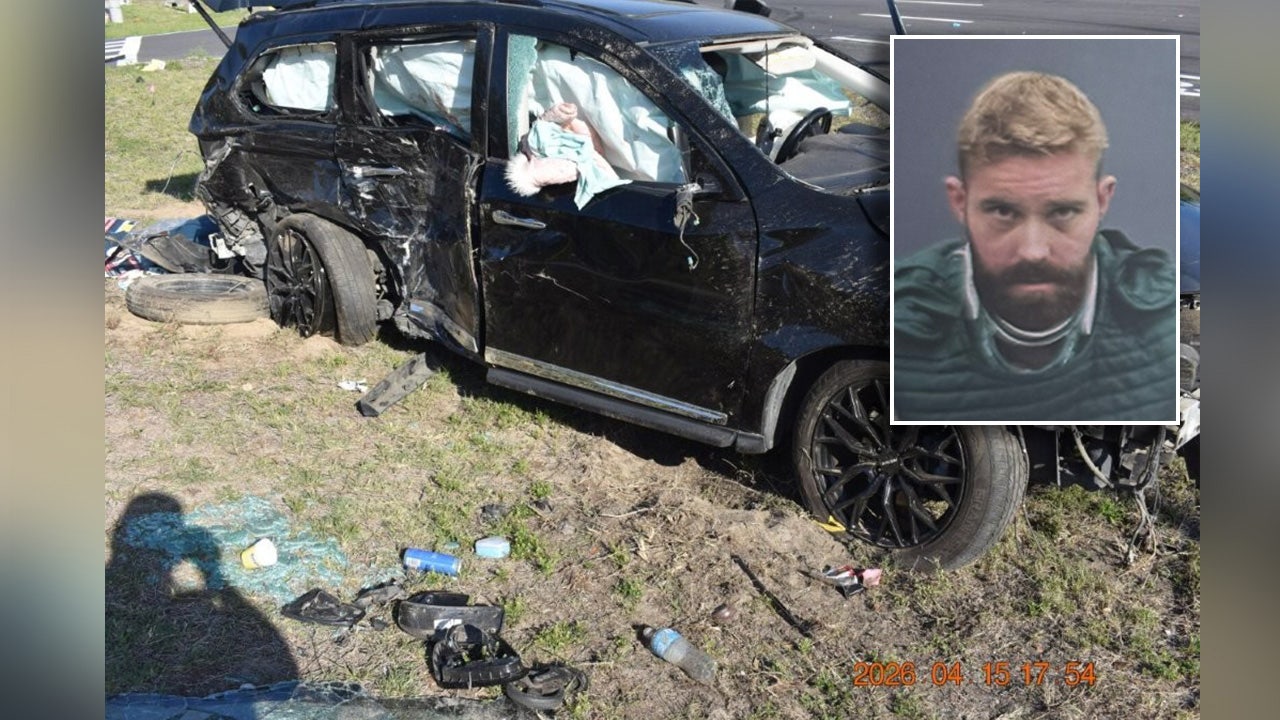 Temple Terrace police officer arrested following crash that killed ...