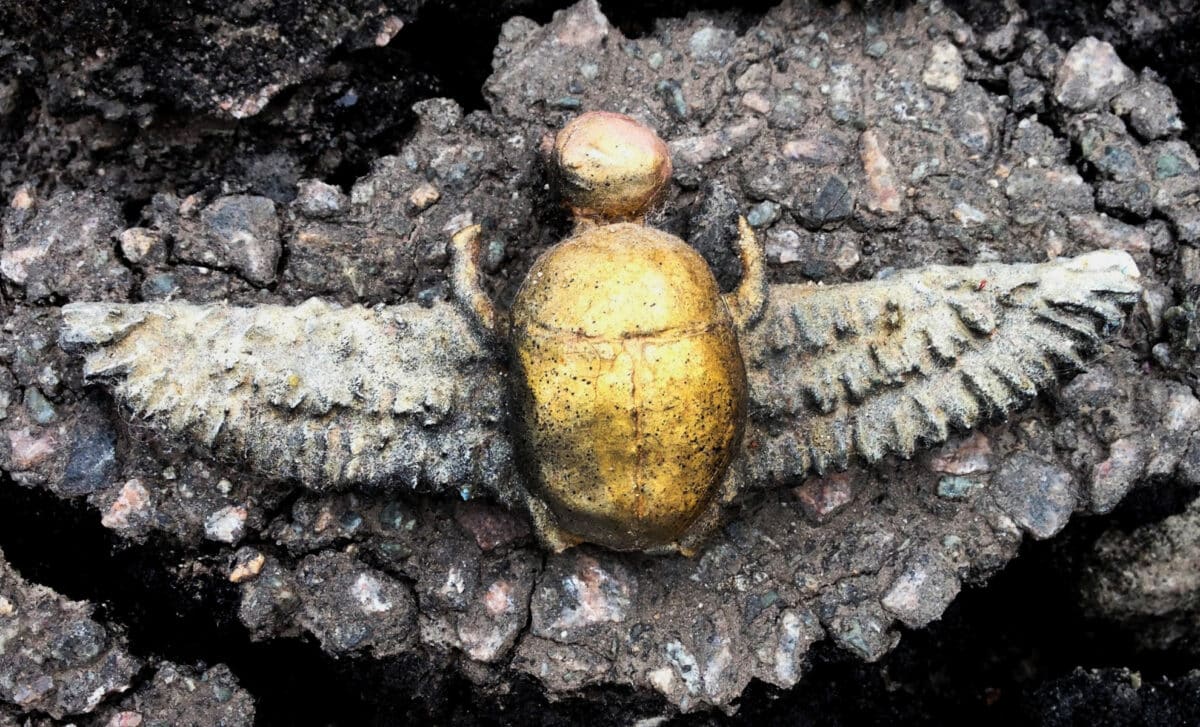 Archaeologists found a sacred Egyptian scarab inside a pre-Roman ...