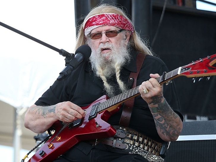 Outlaw country singer David Allan Coe's final album planned for ...